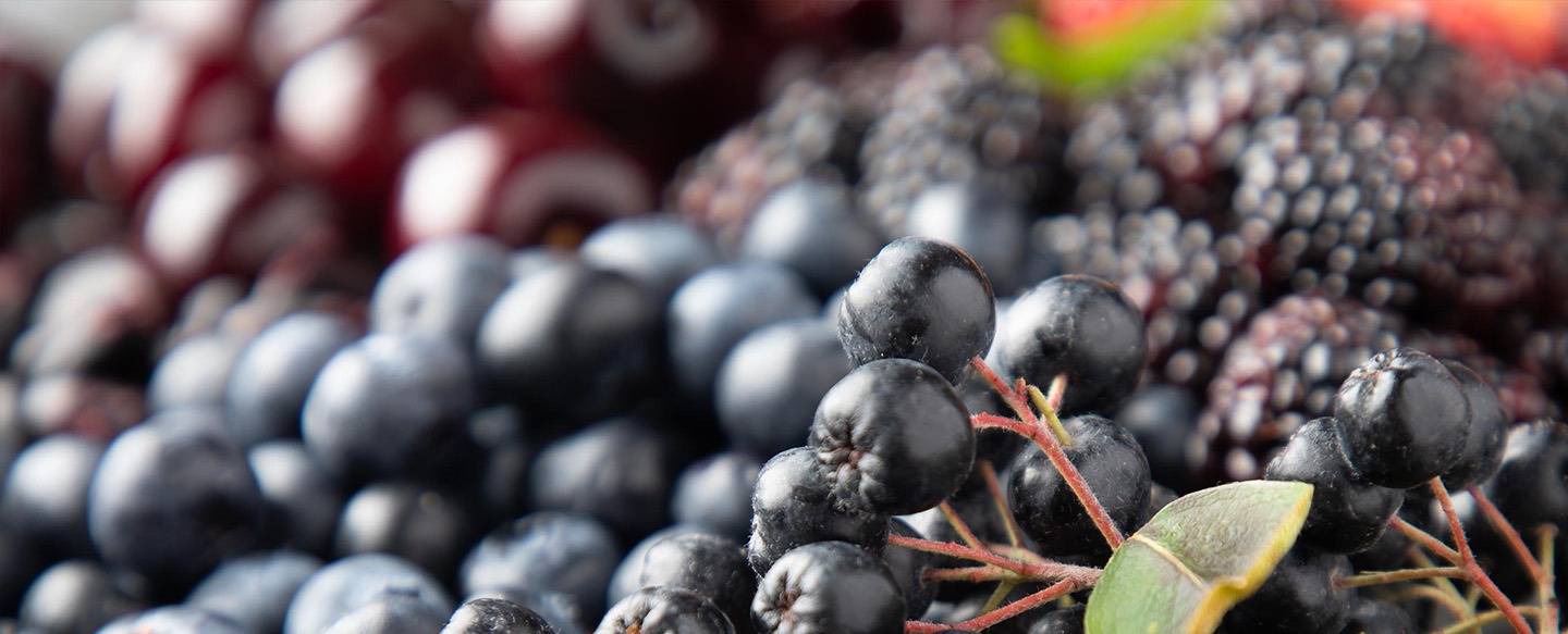 FRUIT D'OR® - Artemis International